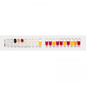 API® | bioMérieux | Microbiology